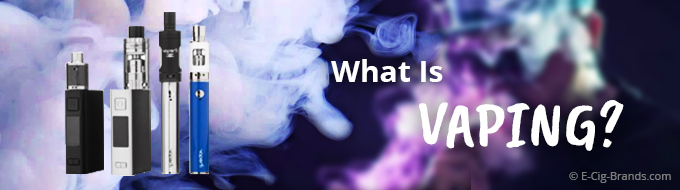 Vaping for Beginners: 2024's Full Guide to Vaping | E-Cig Brands