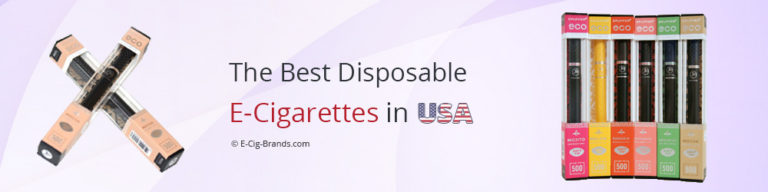2021 Best Disposable E-Cigarettes in USA | E-Cig Brands