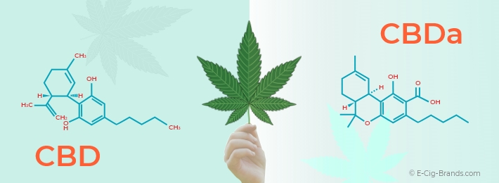 Cbda Logo